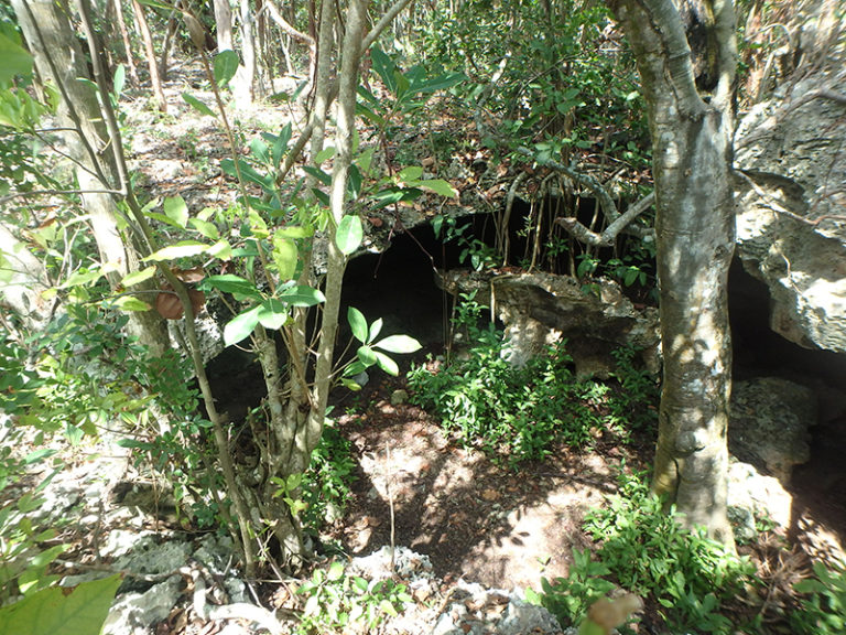 Morgans Bluff & Captain Henry Morgans Cave - Girl With Her Views